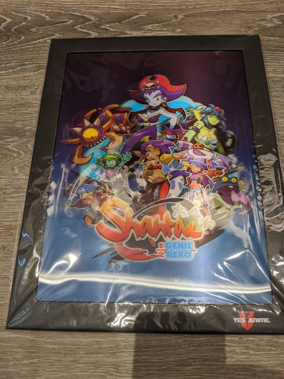 Here's my almost-complete Shantae collection! - Show Off - Video Game Sage