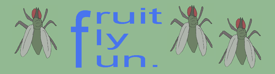Fruit Fly Fun - Gamegearguy's projects - Video Game Sage
