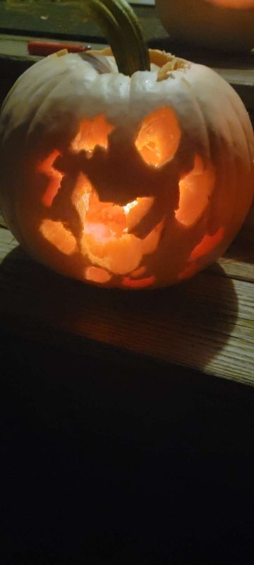 Show us your pumpkins! - Everything Else - Video Game Sage