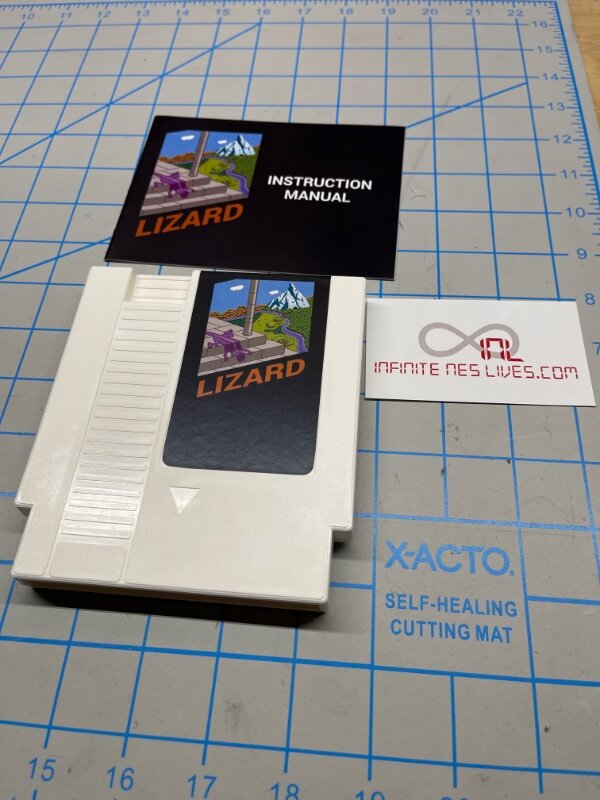 FO/FT- my NES homebrew collection-Lizard LE, 2013 xmas box - Selling - Video Game Sage